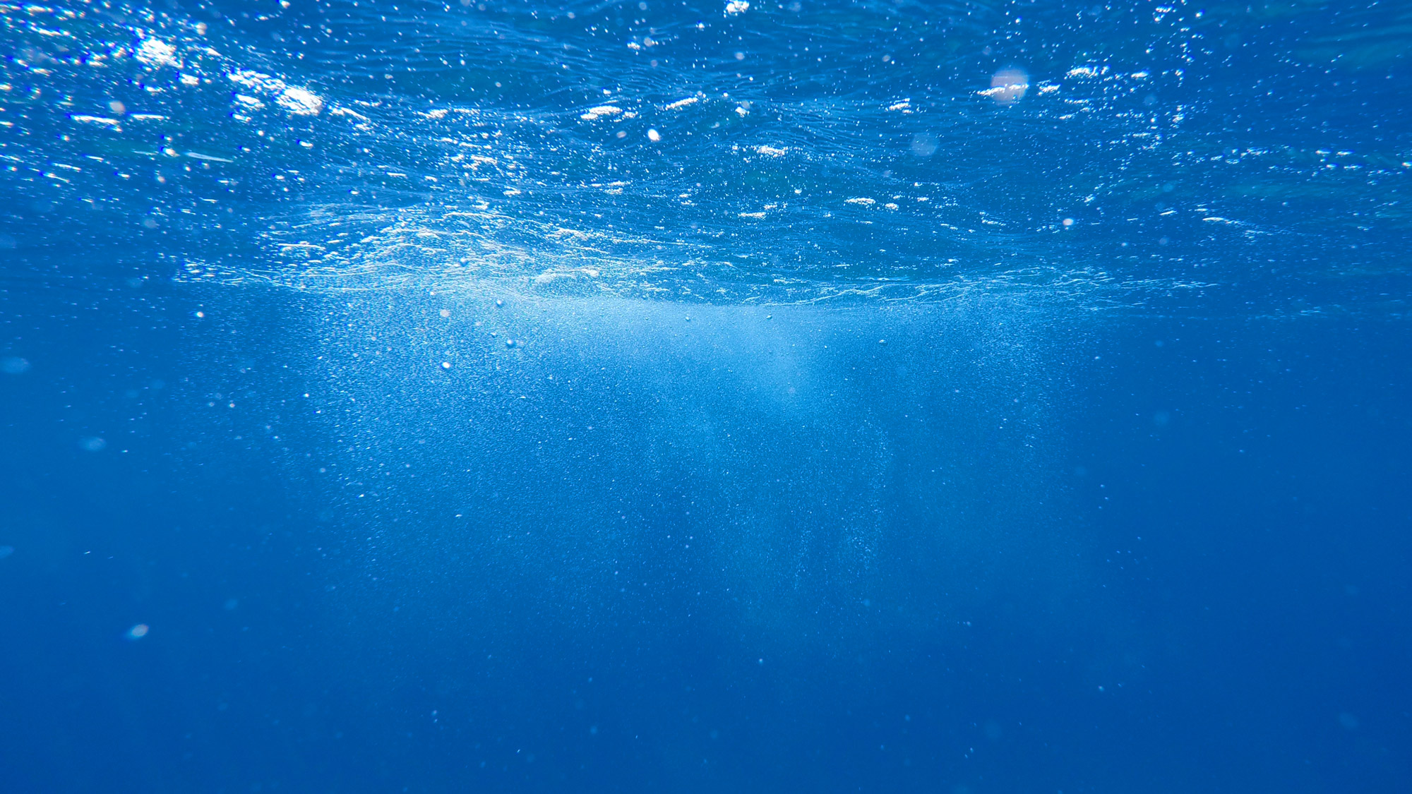 Billion Oyster Project - ETR